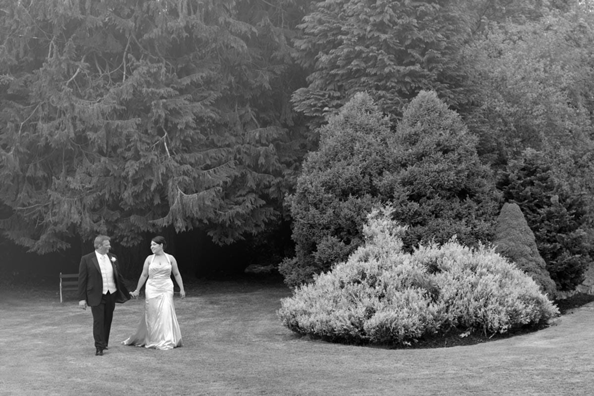 My Dream Wedding